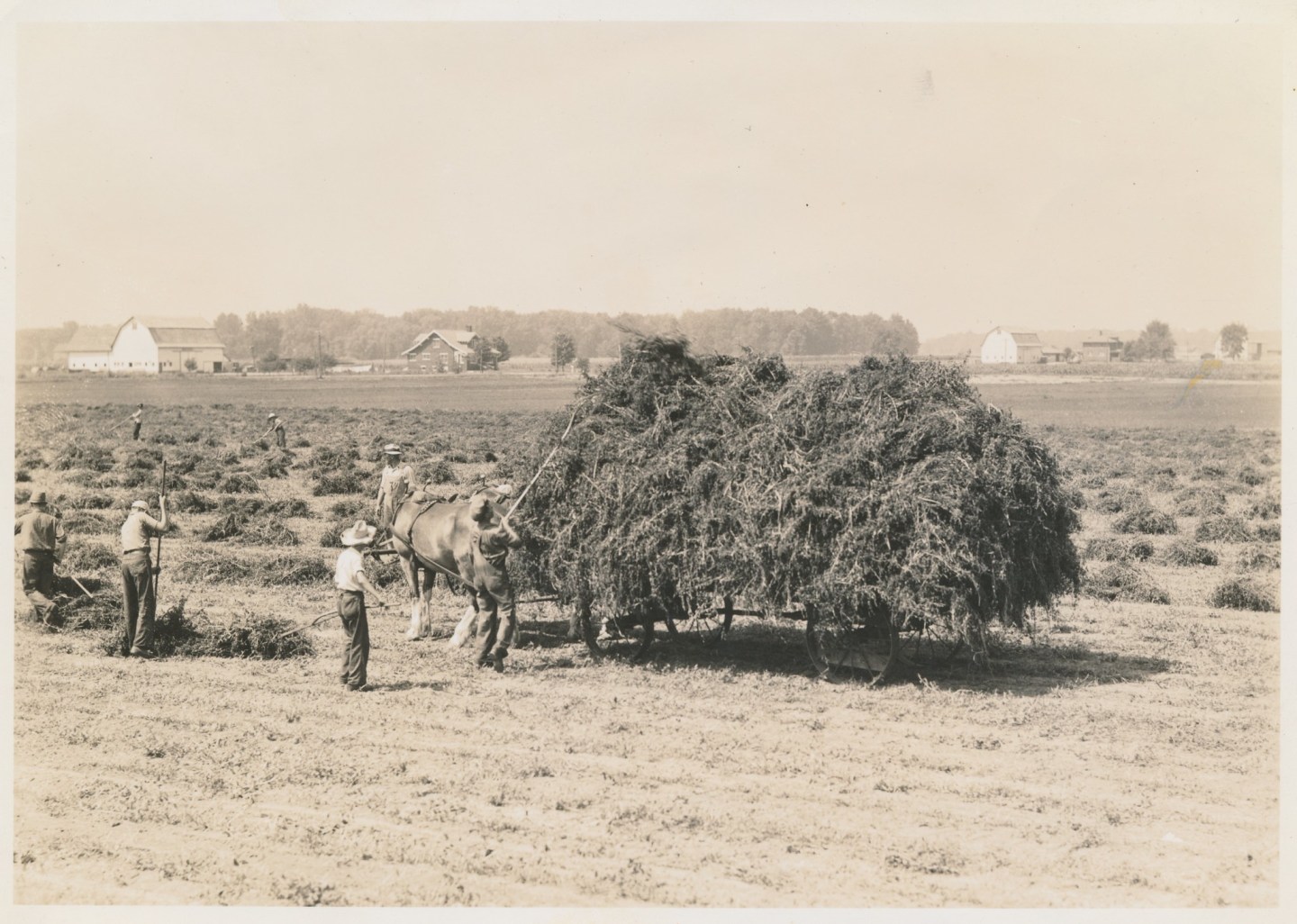 Bremen’s Mint Industry – Historic Bremen